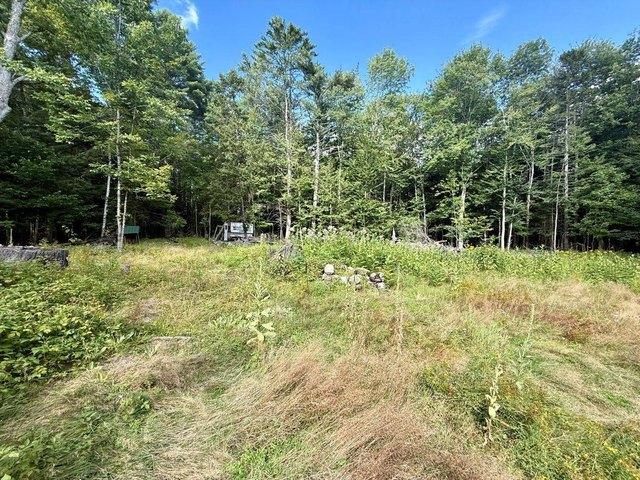264 Windfall Rd, Wells, NY 12190