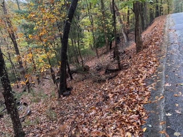 264 Zenith Trail, Ellijay, GA 30540 | MLS #419897