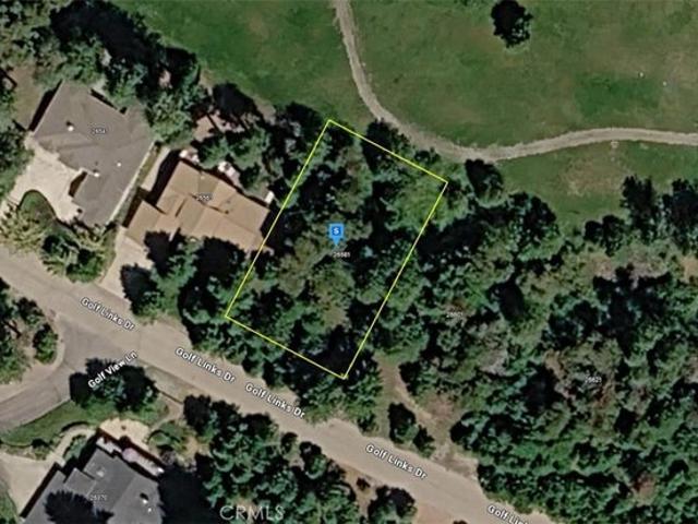26581 Golf Links Dr, Pioneer, CA 95666