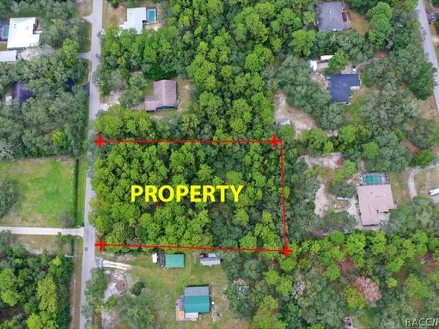 2659 S Bolton Ave, Homosassa, FL 34448