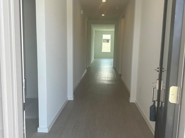 26503 Virginia Wild Rye Lane