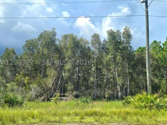 2650 Meadow Rd, Lehigh Acres, FL 33974