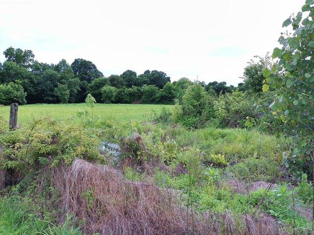 2650 Old Landing Rd, Owenton, KY 40359