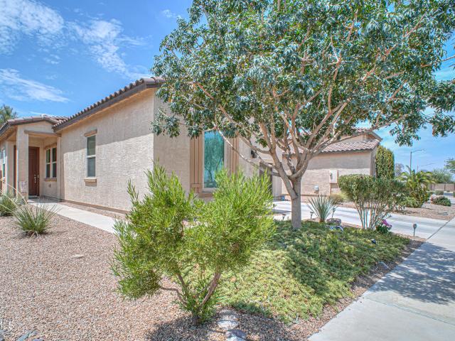 2651 e san ricardo trail