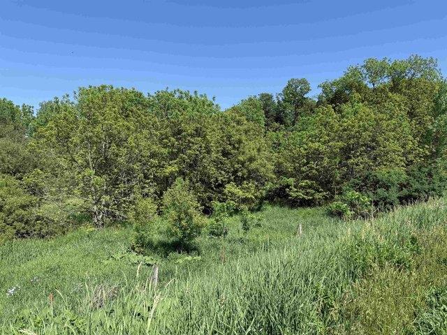 265th Ave, Spillville, IA 52168