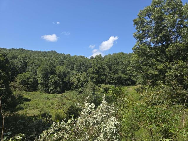 265 Cox Road