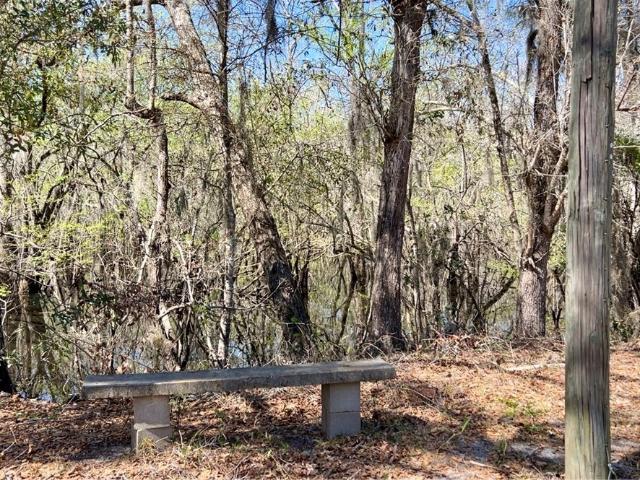 265 Big Cypress Drive