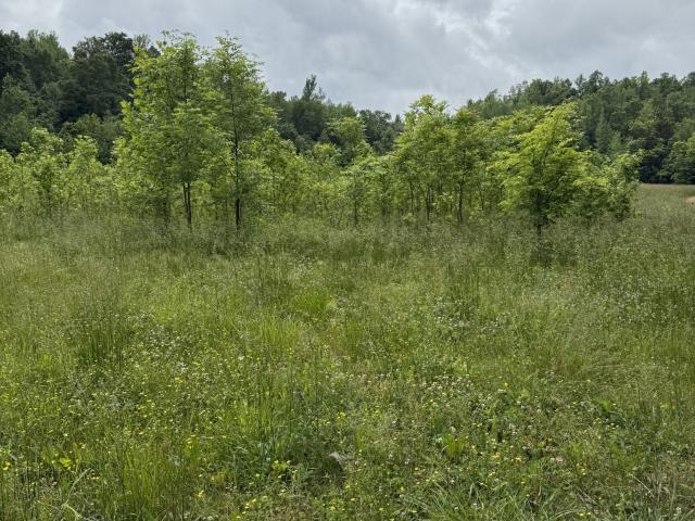 265 Lantern Ln, Olivehill, TN 38475 | MLS #2883 | Compass