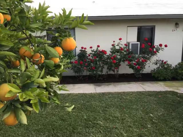 265 N Florence St, Burbank, CA 91505