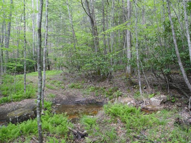 265 Still Hse Hollow Road