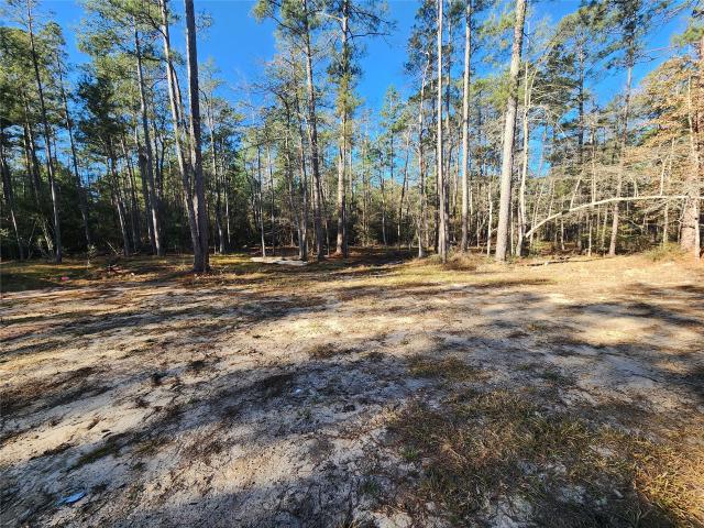 265 Sweetgum Dr, Brookeland, TX 75931 | MLS #69950