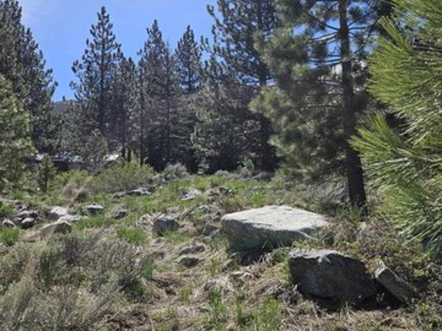 265 Westwood Dr, Bridgeport, CA 93517