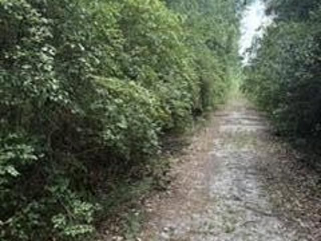 2664 NE 173rd St, Starke, FL 32091