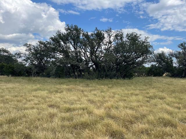 2664 County Road 220, Eldorado, TX 76936 | MLS #98633