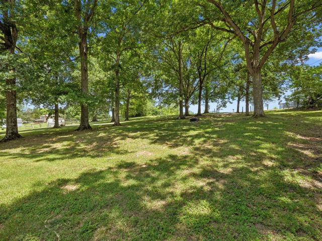 2667 Sanford Rd