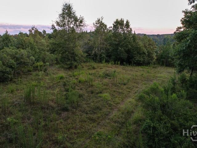 2660 Parham Town Road