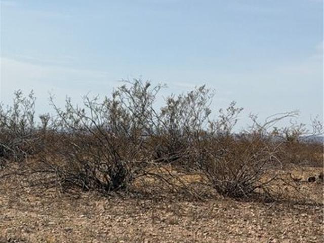 2661 S Muscovite Rd, Golden Valley, AZ 86413