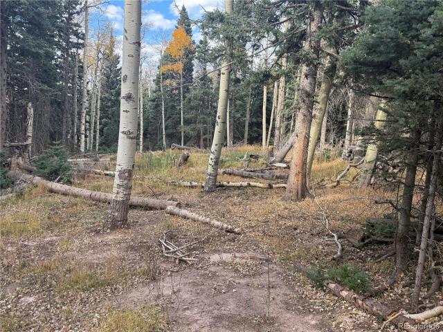 2662 Petito Dr, Fort Garland, CO 81133 | MLS #7348