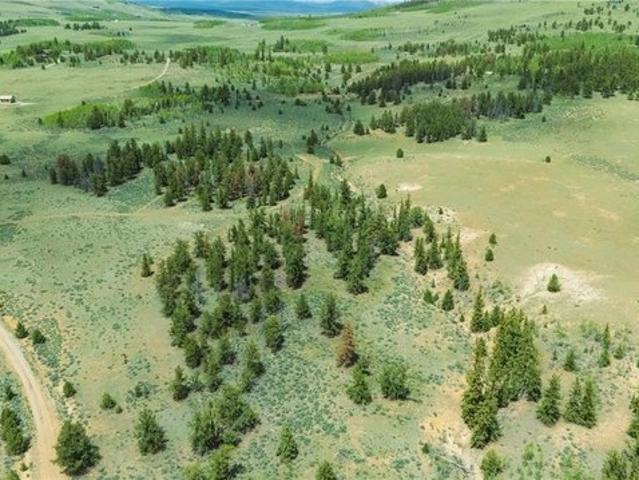 2662 Willow Creek Ln Lot 52, Fairplay, CO 80440