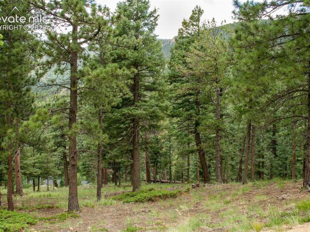 266 Aspen Ridge Road