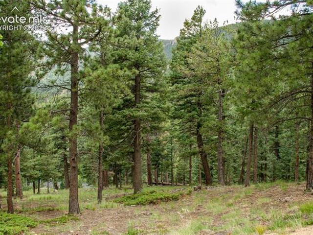 266 Aspen Ridge Road