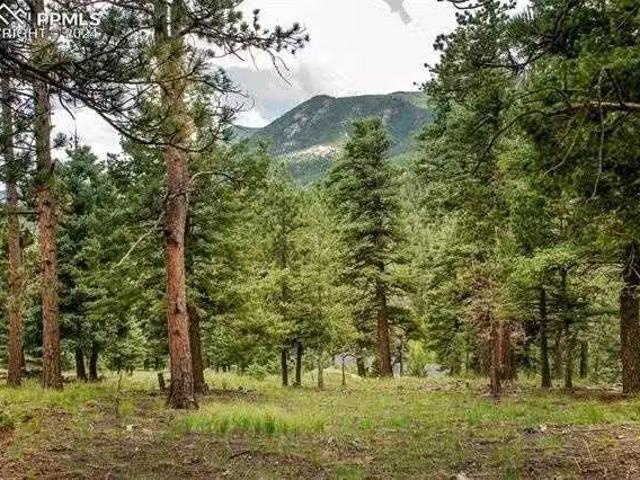266 Aspen Ridge Road, Manitou Springs, CO 80829 658899013
