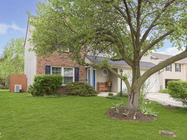 266 E Pine Ridge Drive