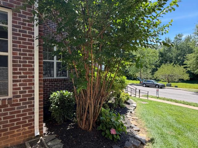 266 Turnberry Cir