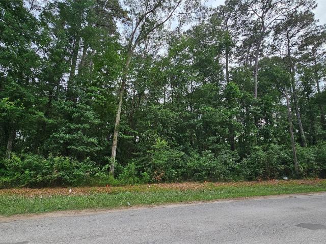 26750 & 26698 Peach Creek Drive