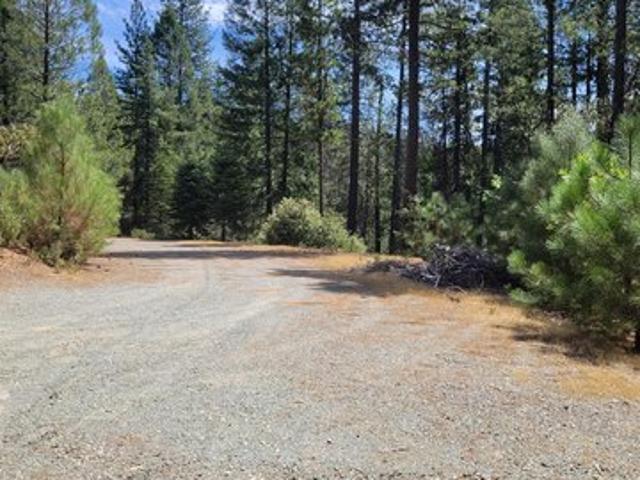 2678 Christmas Tree Ln, Georgetown, CA 95634