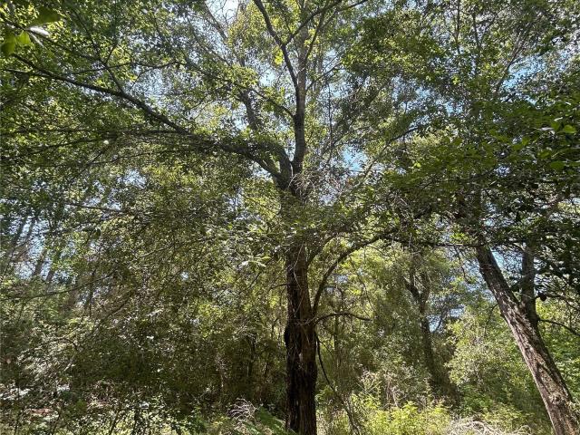 26702 Apache Trail