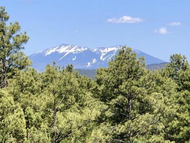 2672 Ridgewood Way, Williams, AZ 86046