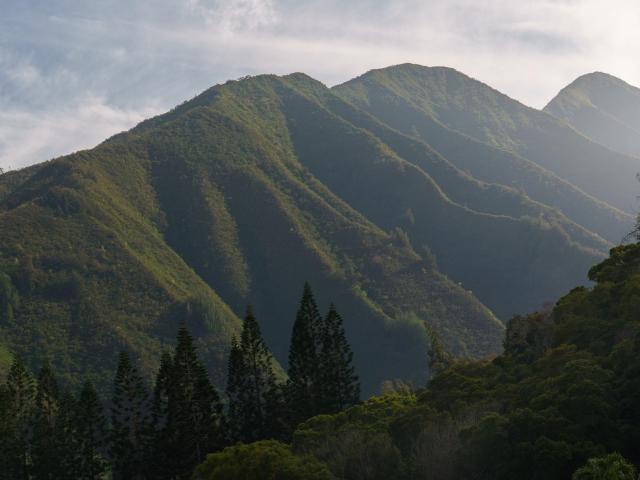 2673 Kamaile St, Wailuku, HI 96793 | MLS #408673