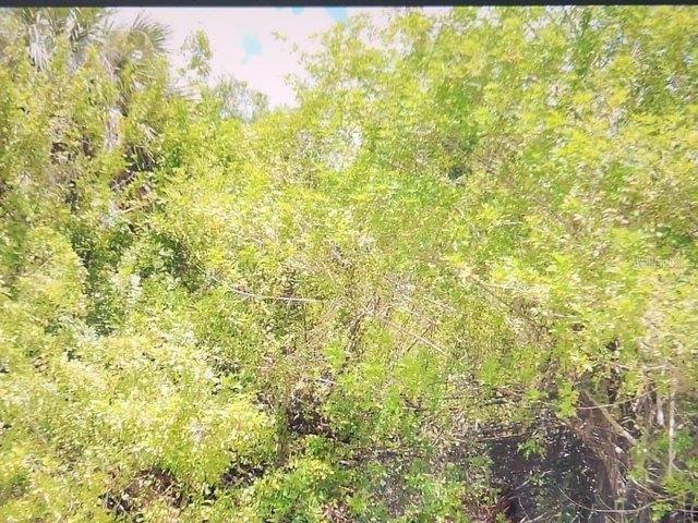 267 Capatola St, Port Charlotte, FL 33948