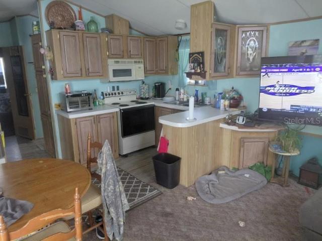 267 Big Pine Ave S, Frostproof, FL 33843 | MLS #TB8495
