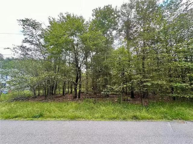 267 BIRCH WAY, COOLBAUGH TWP, PA 18466 Single Family Residence.