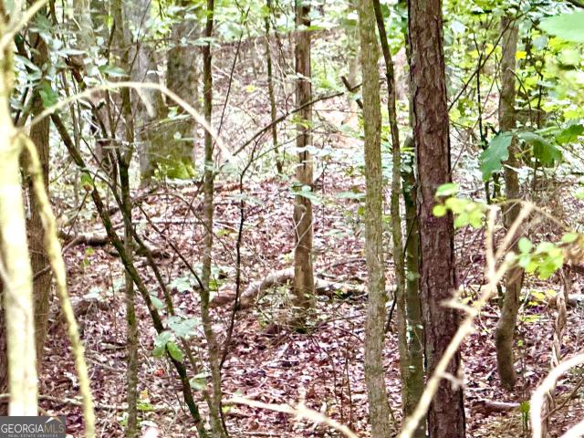 267 Branch Drive