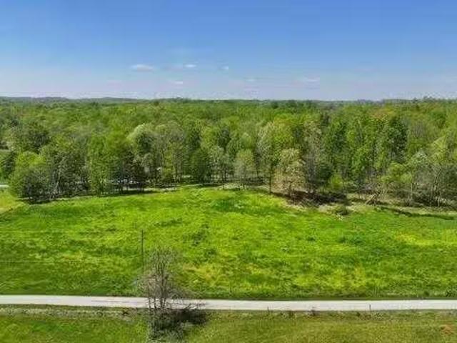 267 Mc Clendon Road, Nancy, KY 42544 648364387