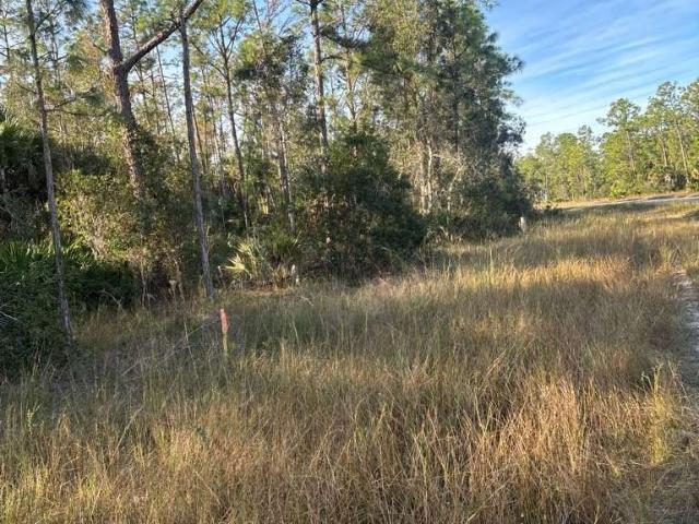 267 Woodburn Dr, Lehigh Acres, FL 33972 | MLS #2026004 | Compass