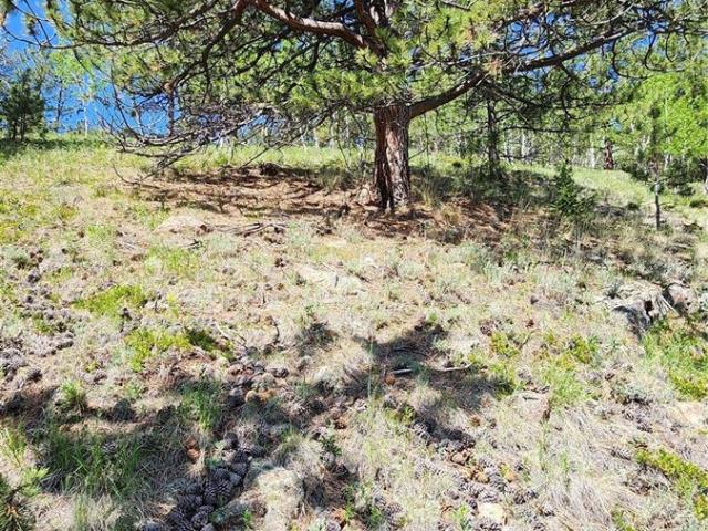 267 Ward St, Bailey, CO 80421 | MLS #4072 | Compass