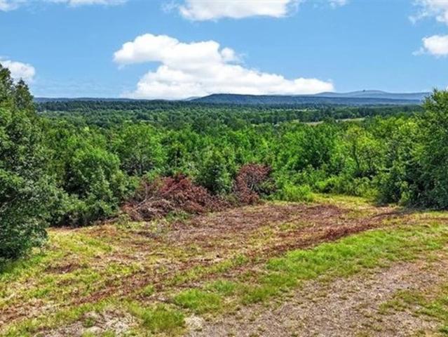 26861 Merle Branch Ln Lot 0, Heavener, OK 74937