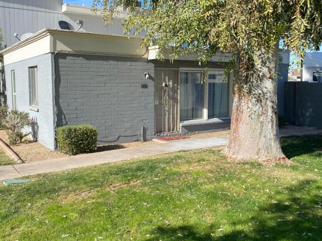 2687 w ocotillo road