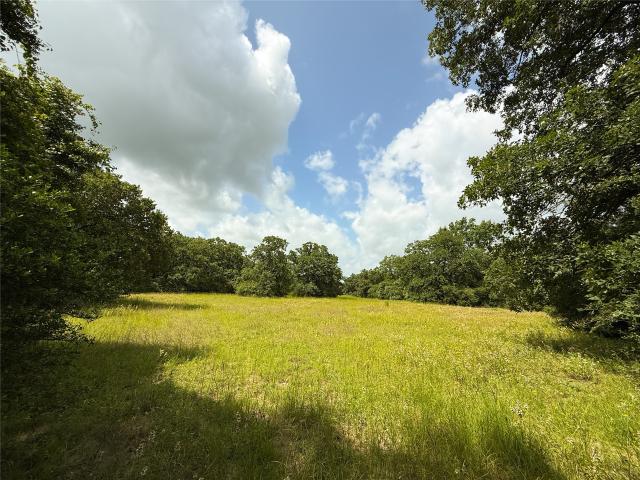 2689 County Road 261