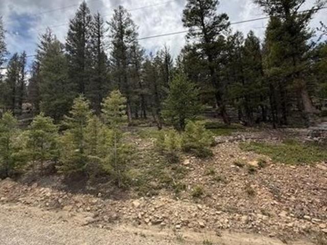 2689 Redhill Rd, Fairplay, CO 80440