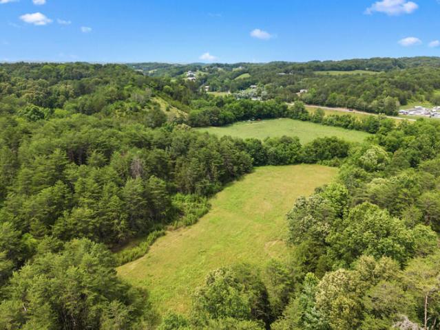 268 Hattie Branch Road