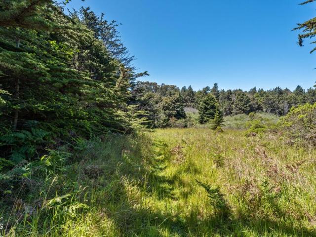 26950 California 1