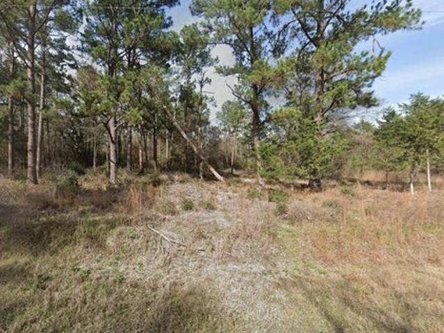 2699 County Road 144, Bedias, TX 77831