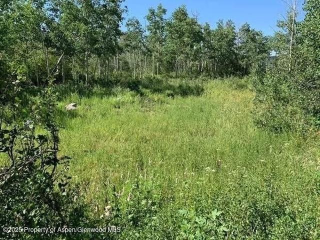 2699 Grackle Rd Lot 95, Craig, CO 81625