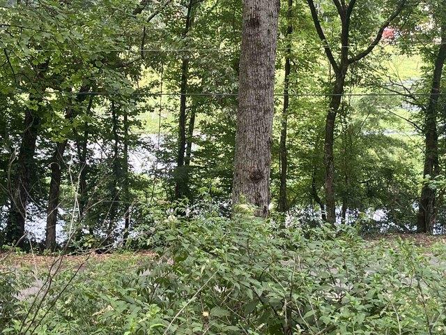 2690 Aldridge Gap Rd Lot 12, Guntersville, AL 35976