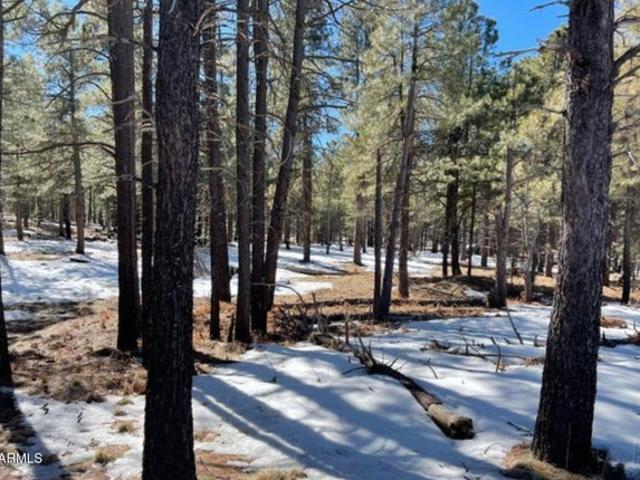 2692 State Route 260 Unit 895, Forest Lakes, AZ 85931